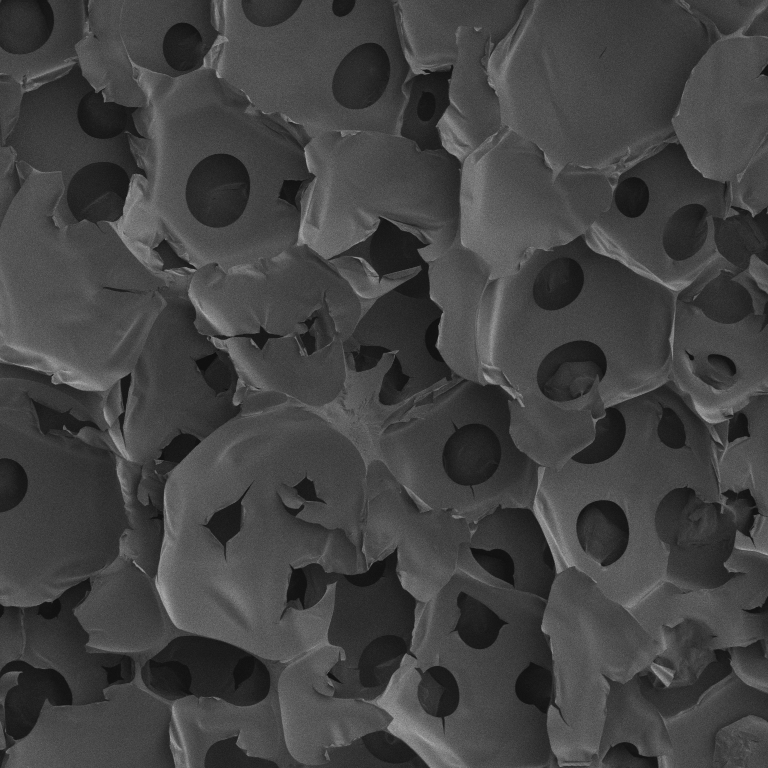 Porous Structures | Bayram Research Group